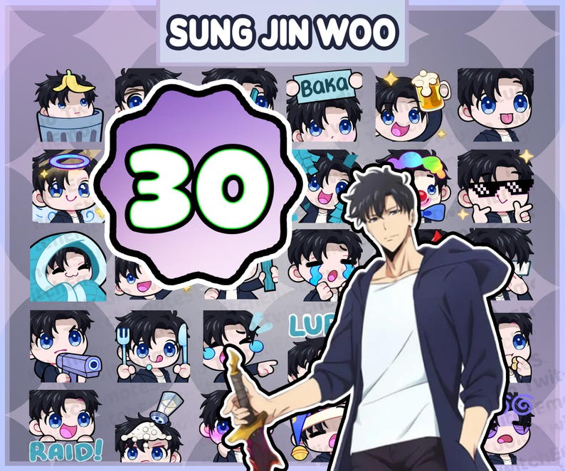 SOLO LEVELING Twitch Emotes Pack/ (30 Emotes) / Sung Jin Woo / Bundle ...