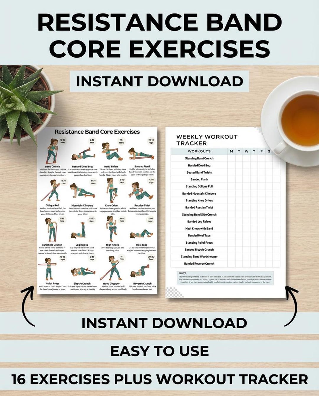 Resistance Band Core Workout Printable | Ab & Belly Fat Exercises, Home ...