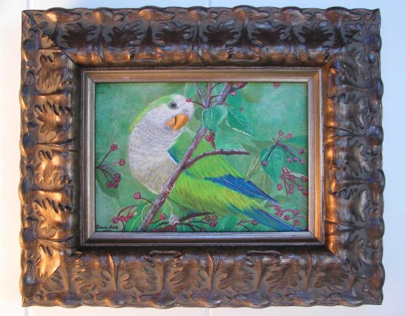 Original Parrot Painting, (A Quaker in Brooklyn) Dawnashartstudio - Etsy