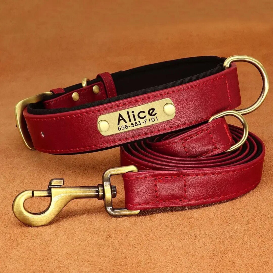 Personalized Leather Dog Collar & Leash Set: Custom Engraved Nameplate ...