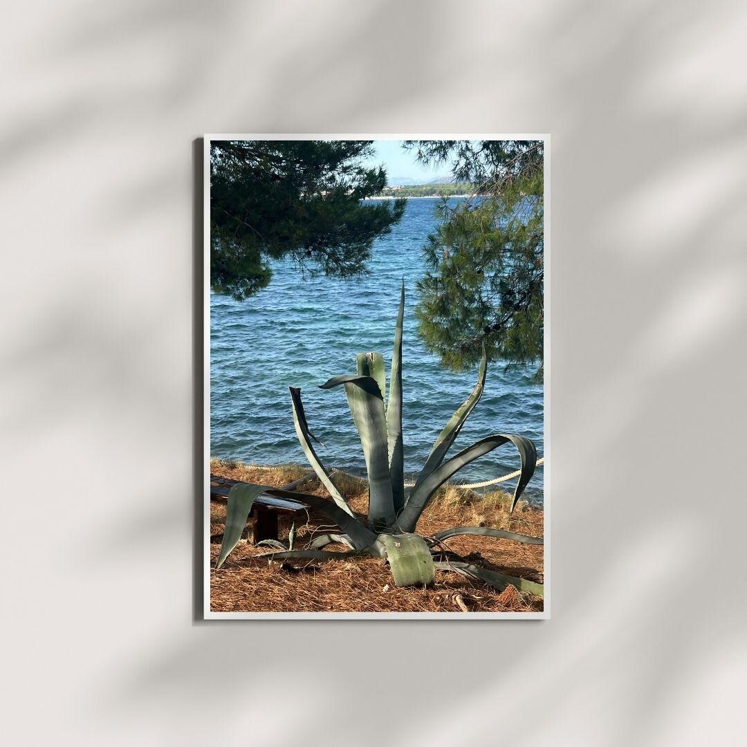 Agave Poster by the Sea | Mediterranean Wall Art Photography | Digital ...