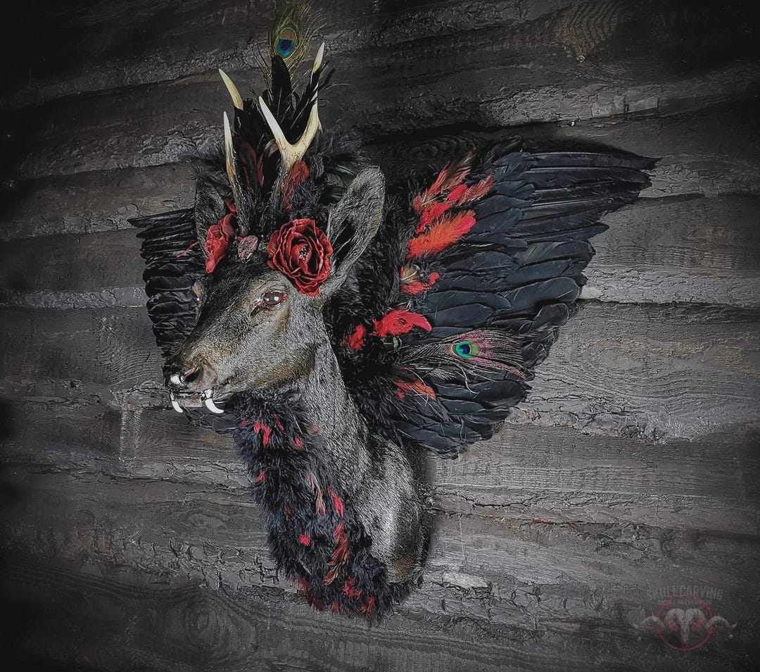 Peryton Taxidermy Wall Mount: Winged Roe Deer, Ruby, Fox Fangs - Etsy