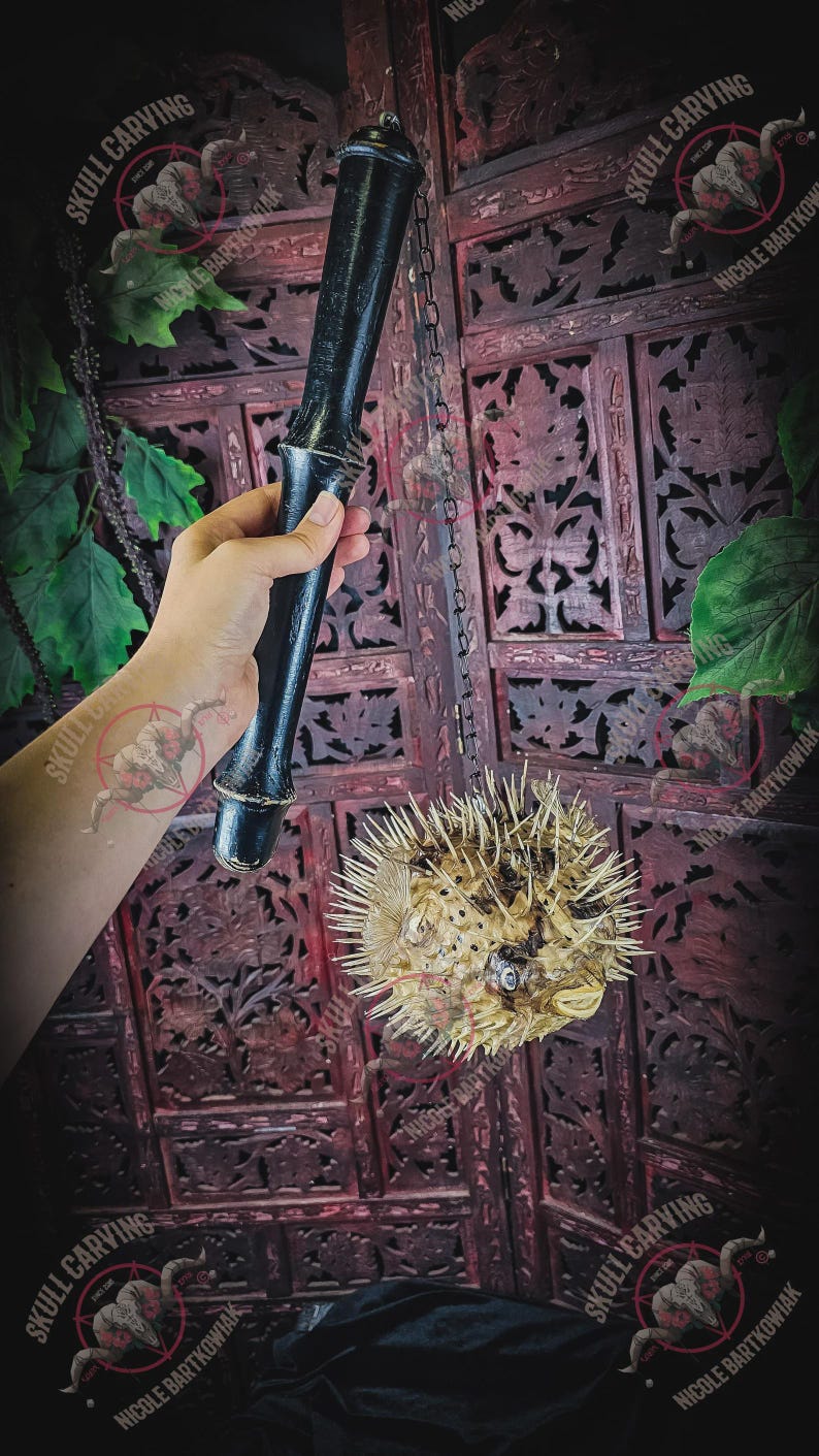 Blowfish Bonker | Porcupine Fish Flail Real Taxidermy Mr. Puff Blowfish ...