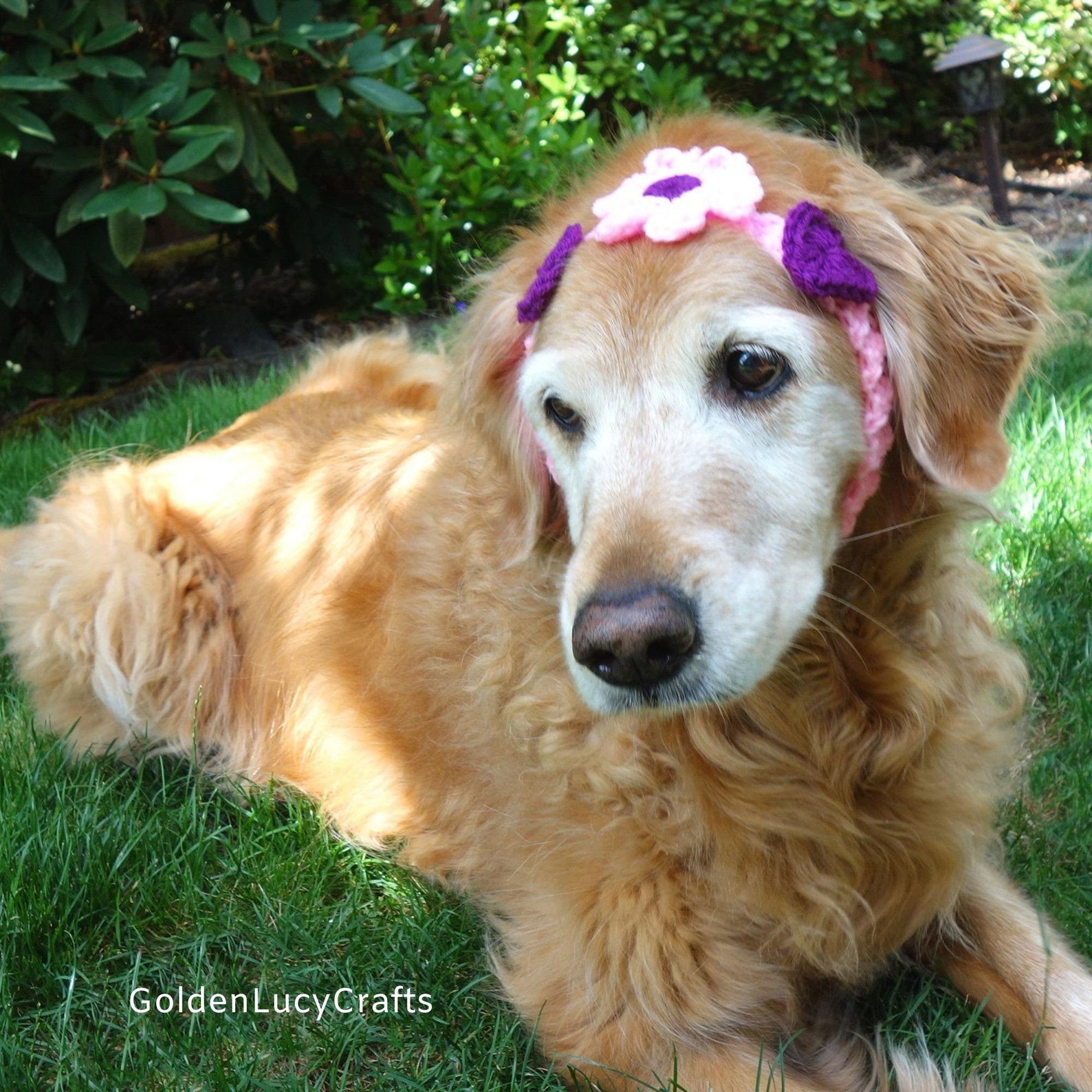 CROCHET PATTERN Dog Headband DIY Pet Accessories Pet Gift - Etsy