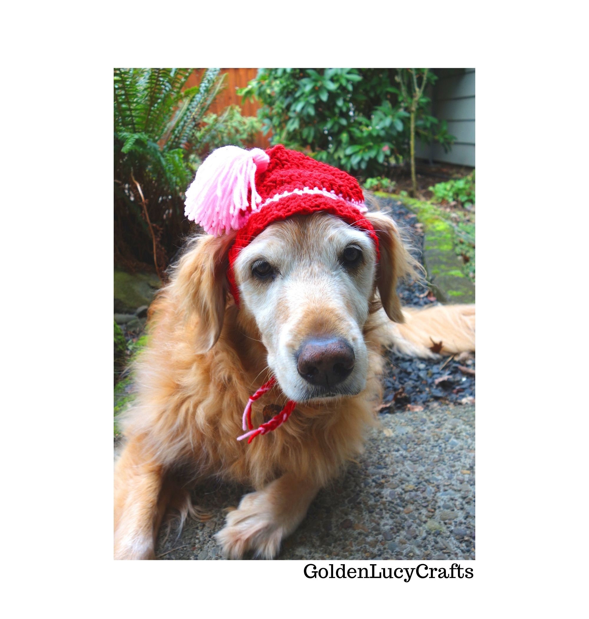 CROCHET PATTERN Dog Hat, DIY Pet Accessory, Pet Gift - Etsy
