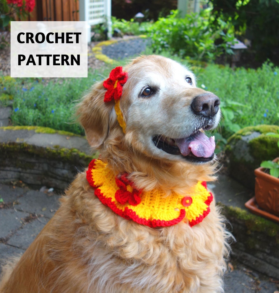 CROCHET PATTERN Cute Dog Collar, Headband, DIY Pet Accessories, Pet ...