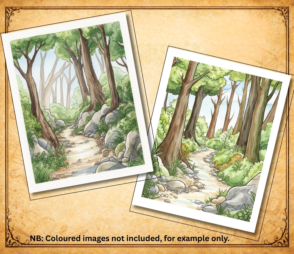Forest Hiking Trails Coloring Pages – 25 Nature Designs (digital ...