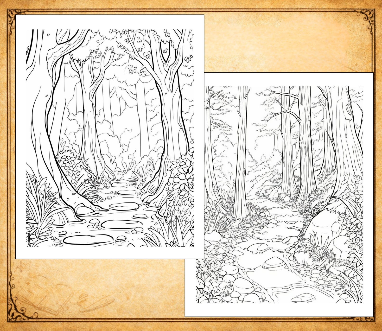 Forest Hiking Trails Coloring Pages – 25 Nature Designs (digital ...