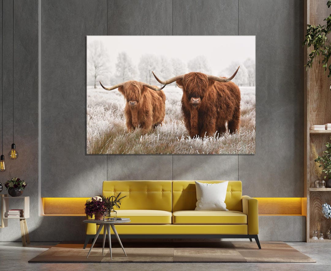Two Hairy Scottish Highland Cows Wall Art Print on Canvas Picture for ...