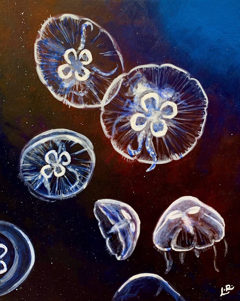 Moon Jellyfish Original Painting 8x10 on illustration board | Etsy