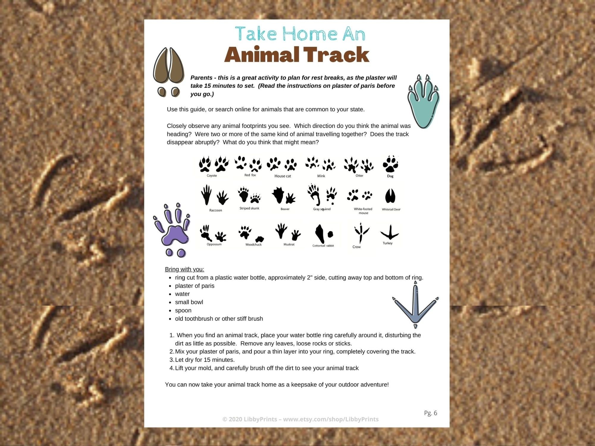 Animal Track Identification & Plaster Mold Craft Nature Walk | Etsy