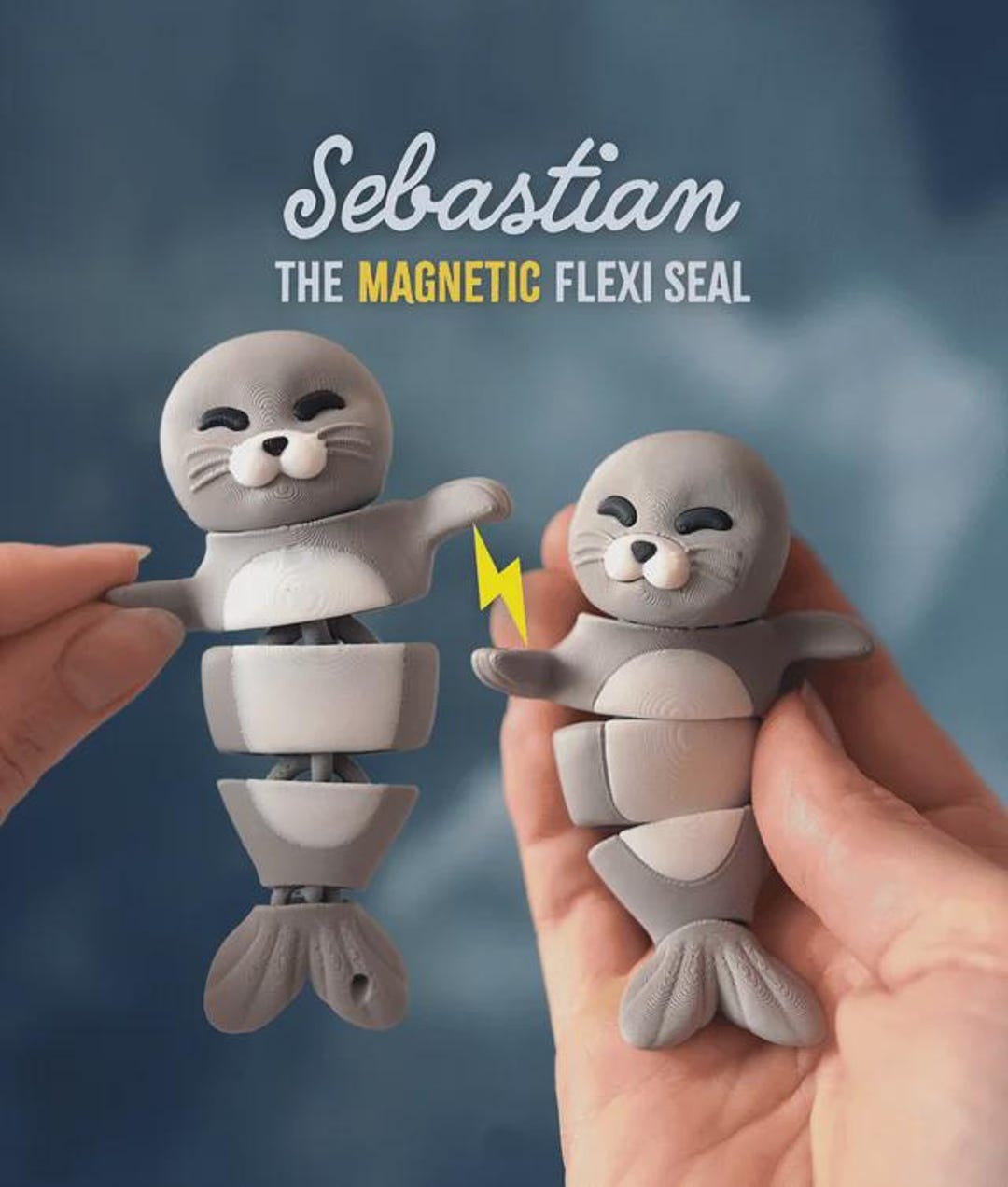 Sebastian Flexi Seal – Magnetic Fidget Toy Made in Germany 3D Printed ...