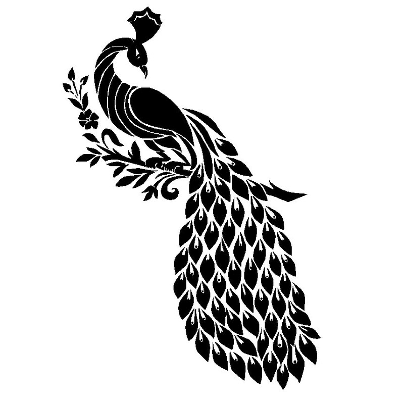 Peacock Wall Stencil - Etsy