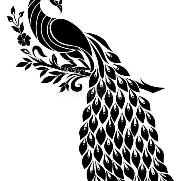 Peacock Wall Stencil - Etsy