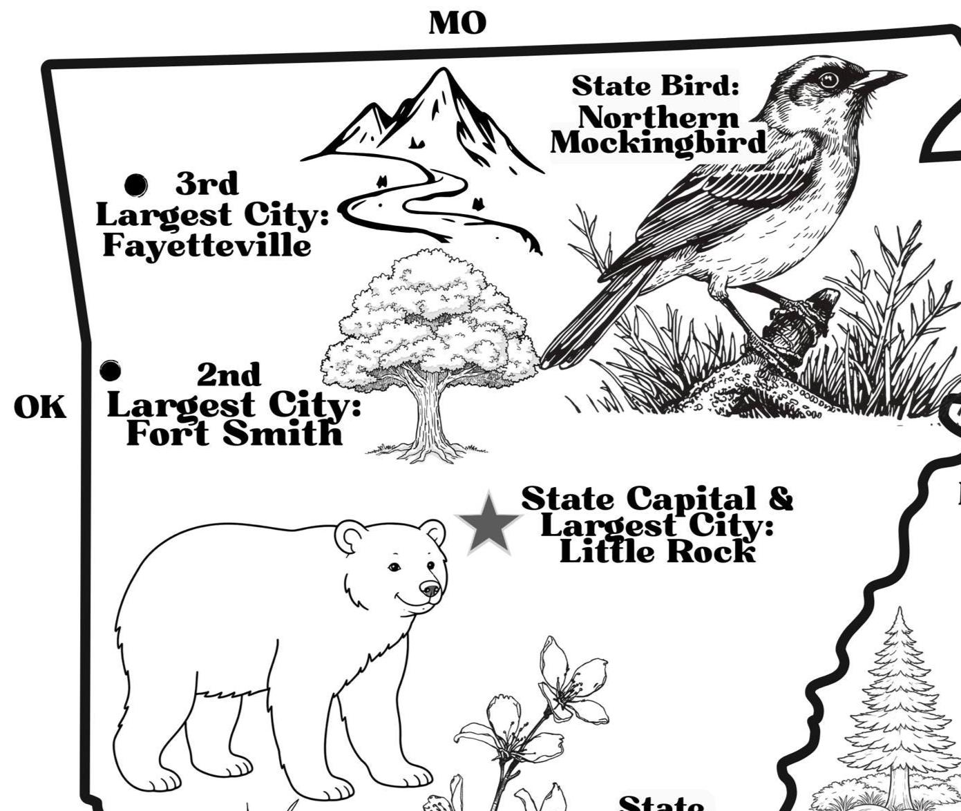 Arkansas - Fast Facts Worksheet Coloring Page - Digital Download - Etsy