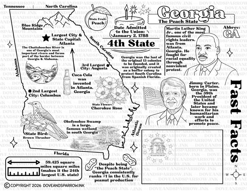 Georgia State Fast Facts Downloadable Printable Worksheet - Etsy