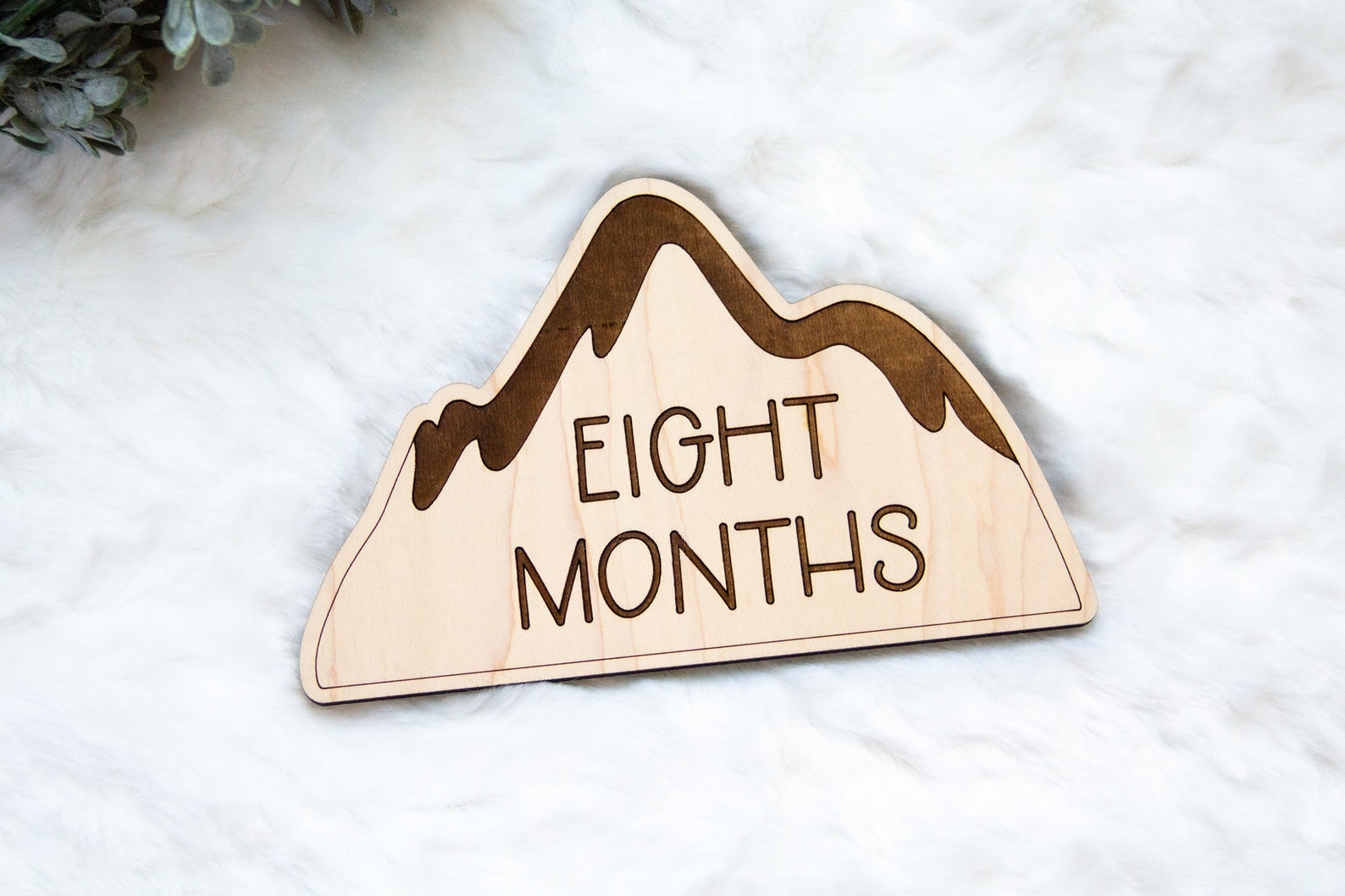 DIGITAL FILE - Laser File - Monthly Milestone Markers - Baby Monthly ...