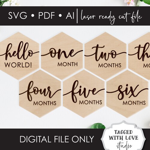 Baby Milestones SVG Monthly Milestone Svg Newborn Photo - Etsy