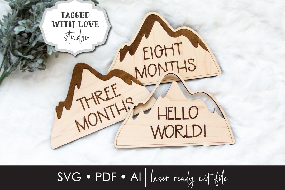 DIGITAL FILE - Laser File - Monthly Milestone Markers - Baby Monthly ...
