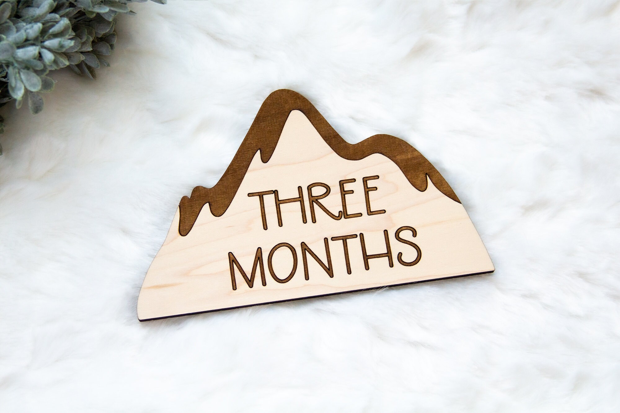 DIGITAL FILE - Laser File - Monthly Milestone Markers - Baby Monthly ...