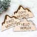 DIGITAL FILE - Laser File - Monthly Milestone Markers - Baby Monthly ...