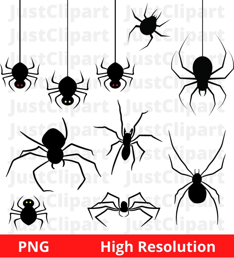 Spider Web SVG Bundle | Halloween Cobweb Clipart | Spider Webs ...