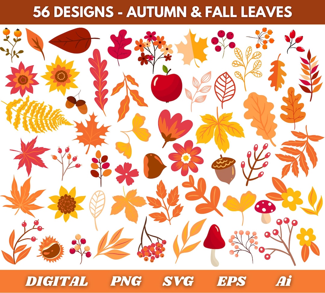 Autumn Leaves Clipart | 56 Fall Foliage PNG SVG EPS Ai Digital Designs ...