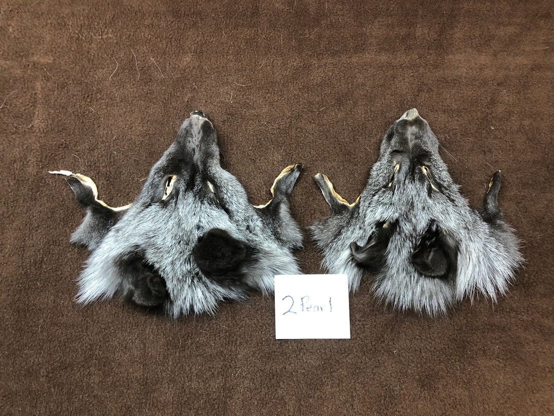 2 Pearl Fox Faces - Etsy