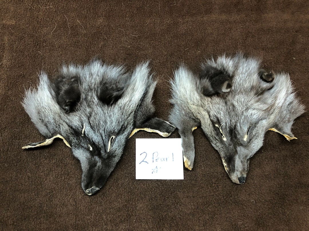 2 Pearl Fox Faces - Etsy