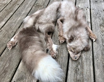 FlattailFurs - Etsy