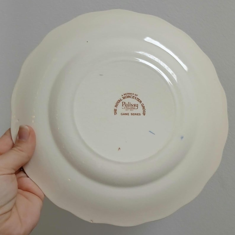 Vintage Royal Worcester Palissy Game Series Woodcock Birds Breakfast ...