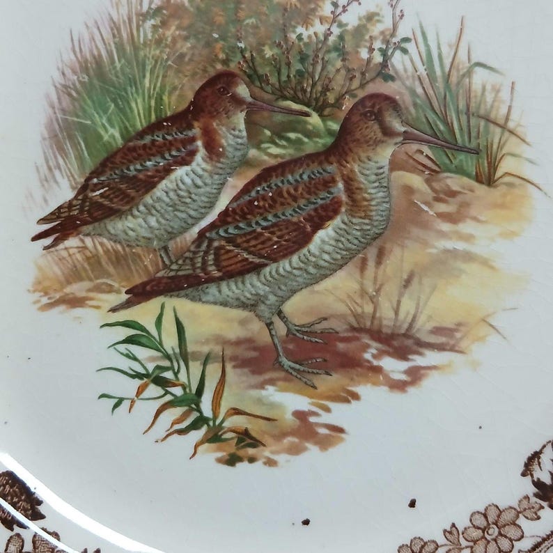 Vintage Royal Worcester Palissy Game Series Woodcock Birds Breakfast ...