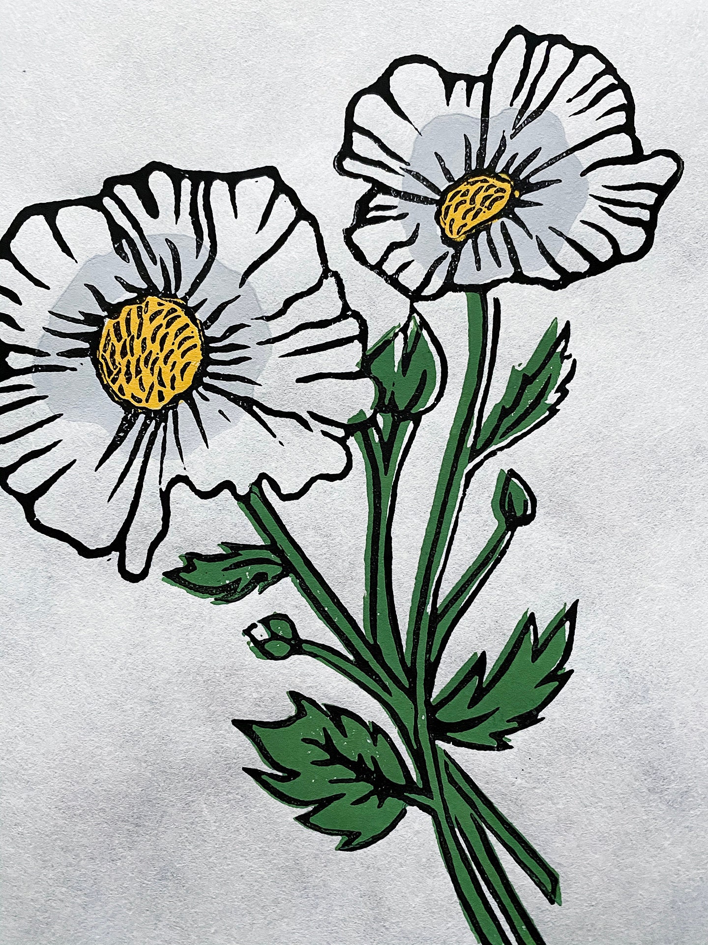 Matilda Poppy Art Print California Native Flower Art Block - Etsy UK