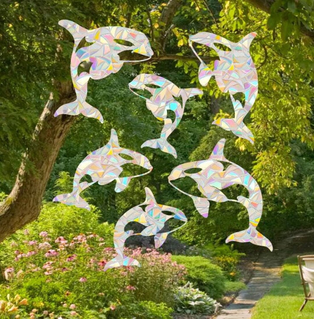 Orca Suncatcher Pack - Window Cling, Rainbow Maker, Reusable Suncatcher ...