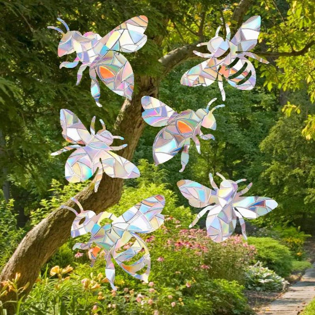 Bee Suncatcher Pack - Window Cling, Rainbow Maker, Reusable Suncatcher ...