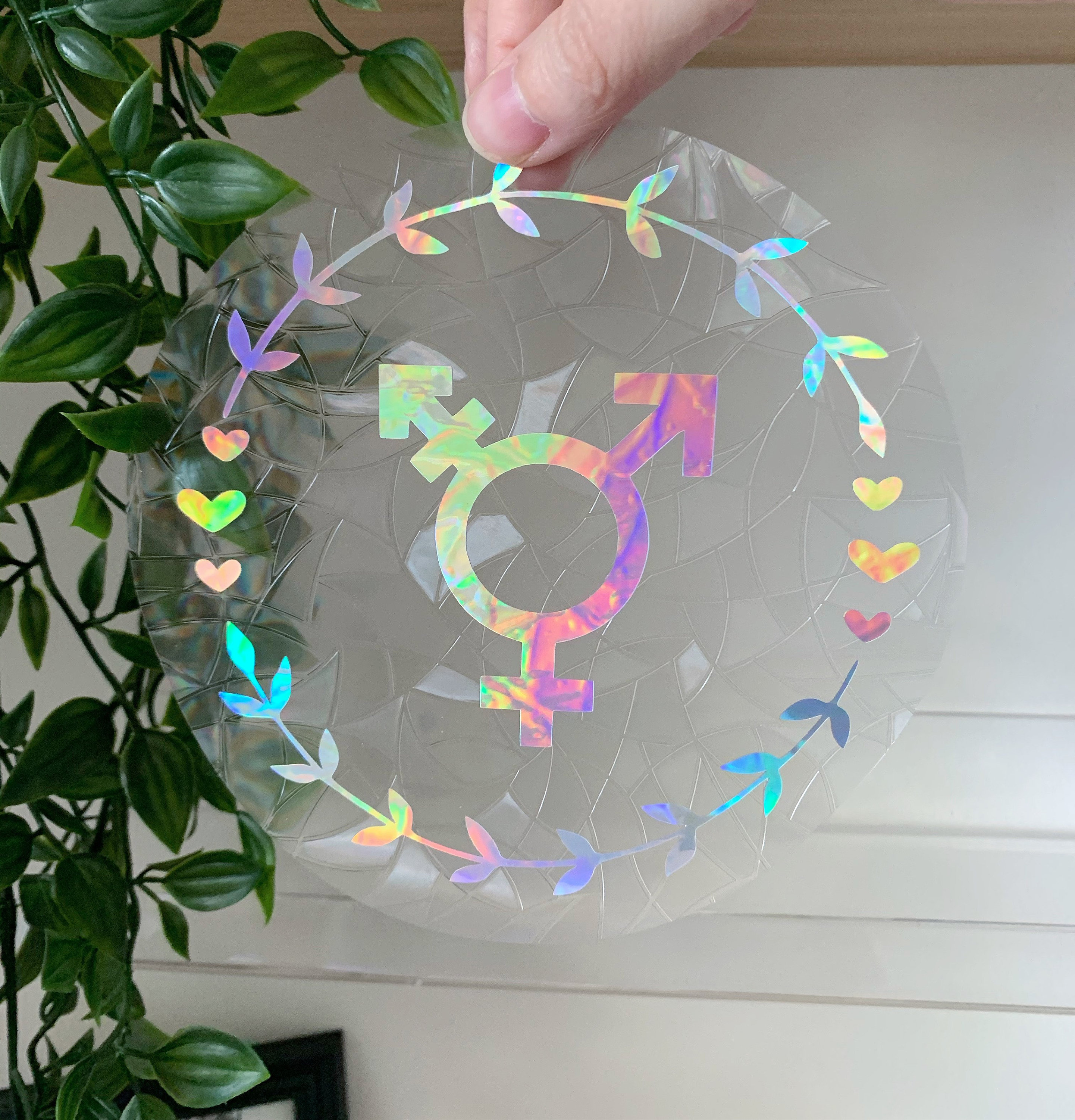 Trans Symbol Suncatcher Window decal sticker pride | Etsy