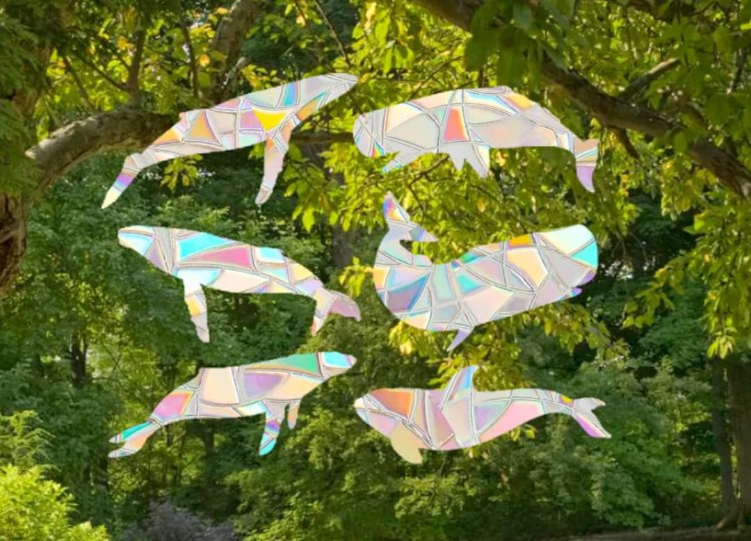Whale Suncatcher Pack - Window Cling, Rainbow Maker, Reusable ...