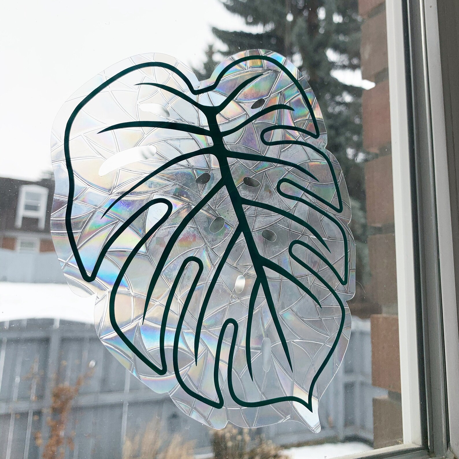 Rainbow Monstera Suncatcher Window Decal Sticker Rainbows - Etsy