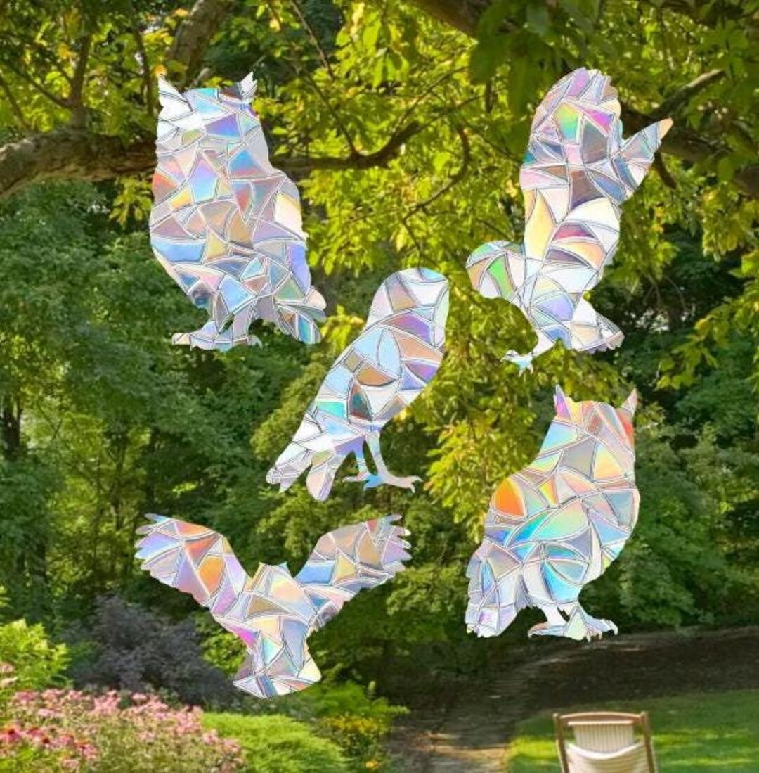 Owl Suncatcher Pack - Window Cling, Rainbow Maker, Reusable Suncatcher ...