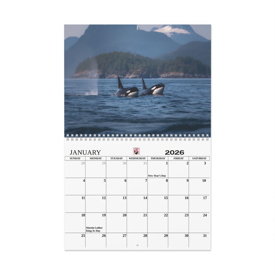 2026 Orca Wall Calendar 12-month Marine Calendar - Etsy