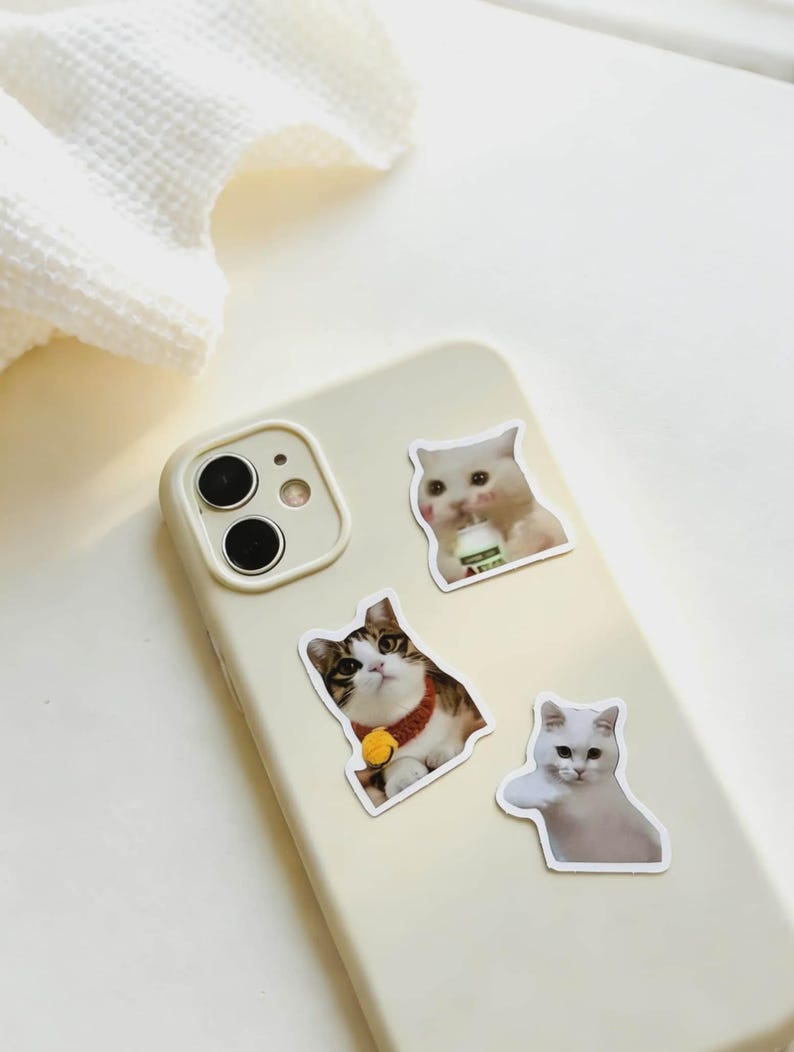 Funny Cat Meme Vinyl Stickers, Ideal Gift for Cat Lovers, 10-100 Pcs ...
