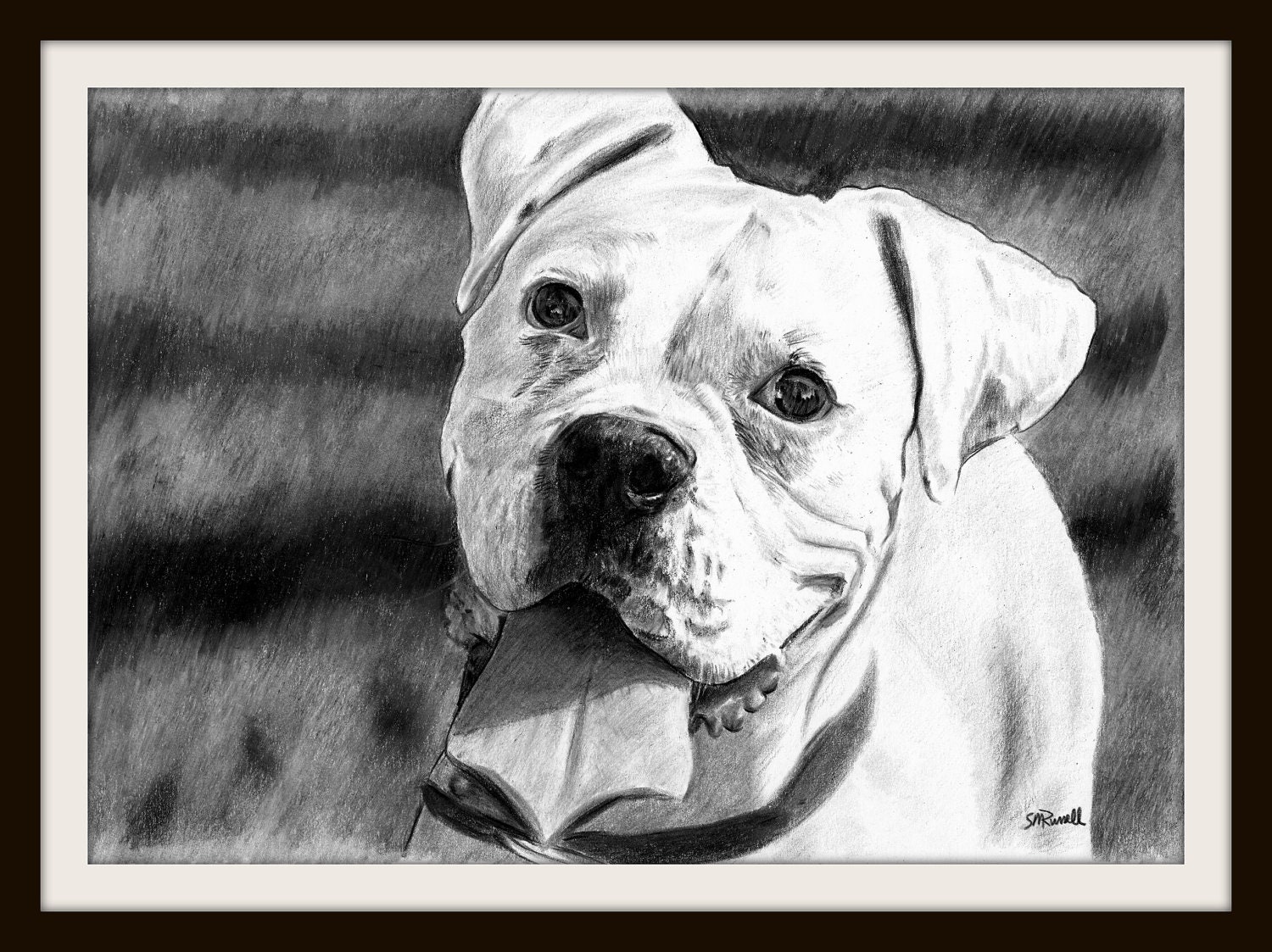 White Boxer B&W Pencil Dog Drawing A4 A3 or A2 Size Limited | Etsy