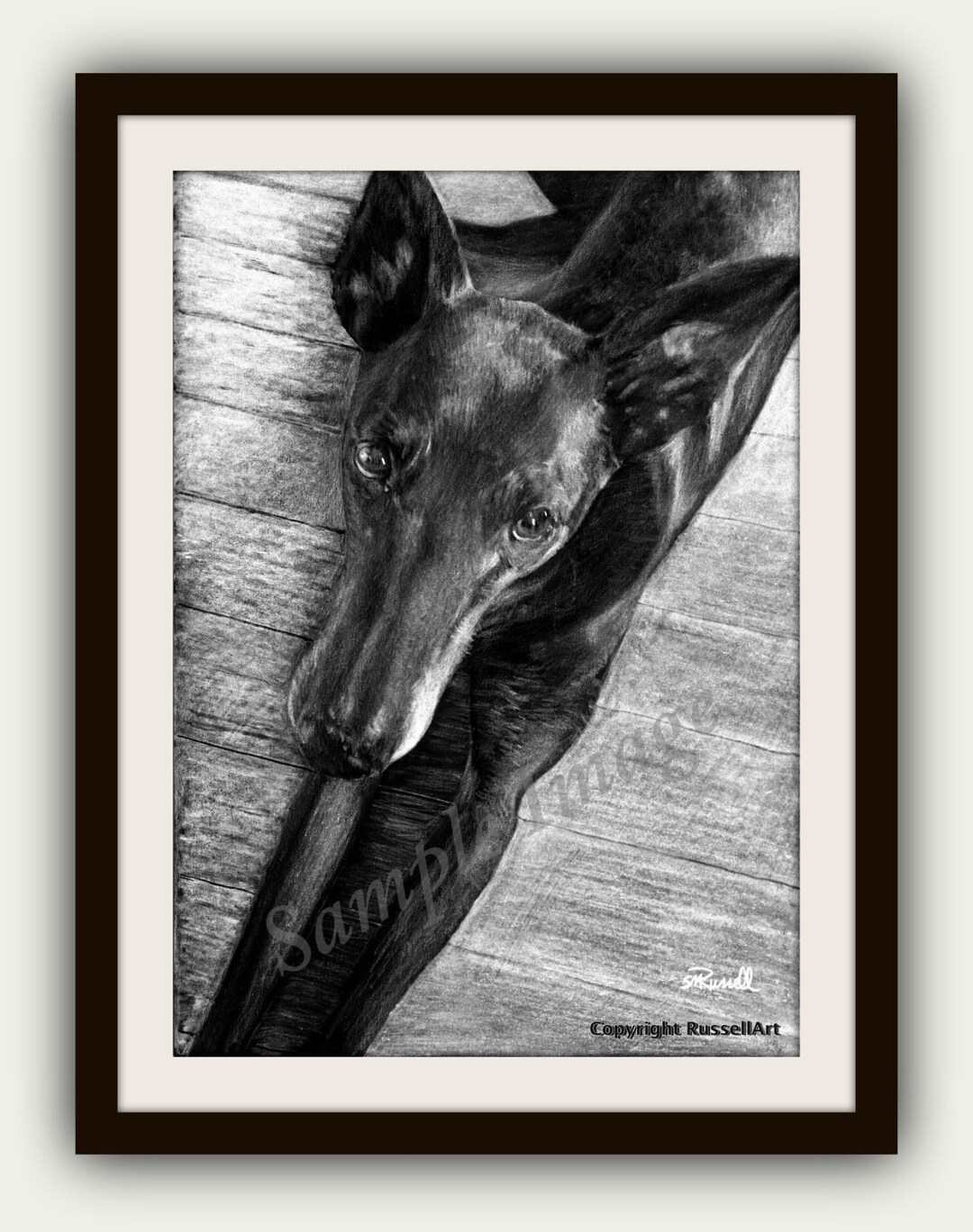 Black 2 B&W Greyhound A4 A3 or A2 Size Limited Edition Print of ...