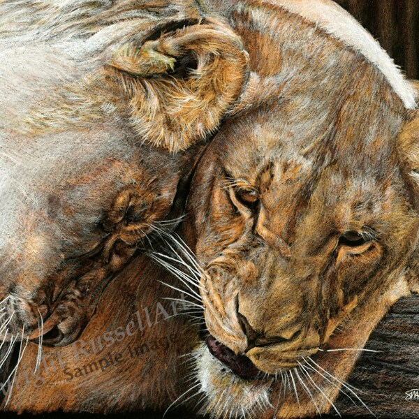 Steve Russell - Etsy