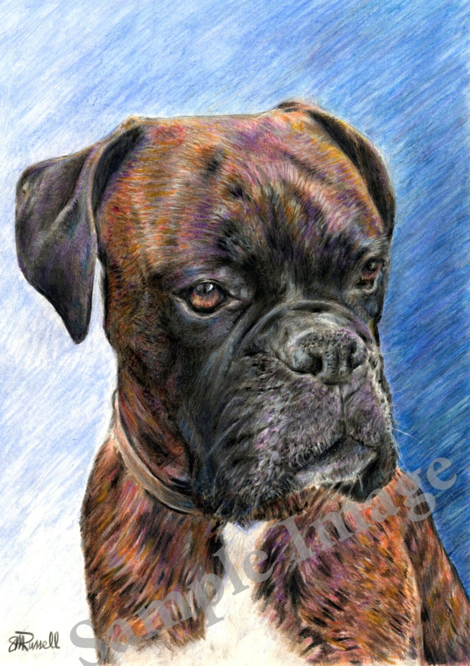The Portrait 3 Boxer Dog A4 A3 or A2 Size Limited Edition - Etsy