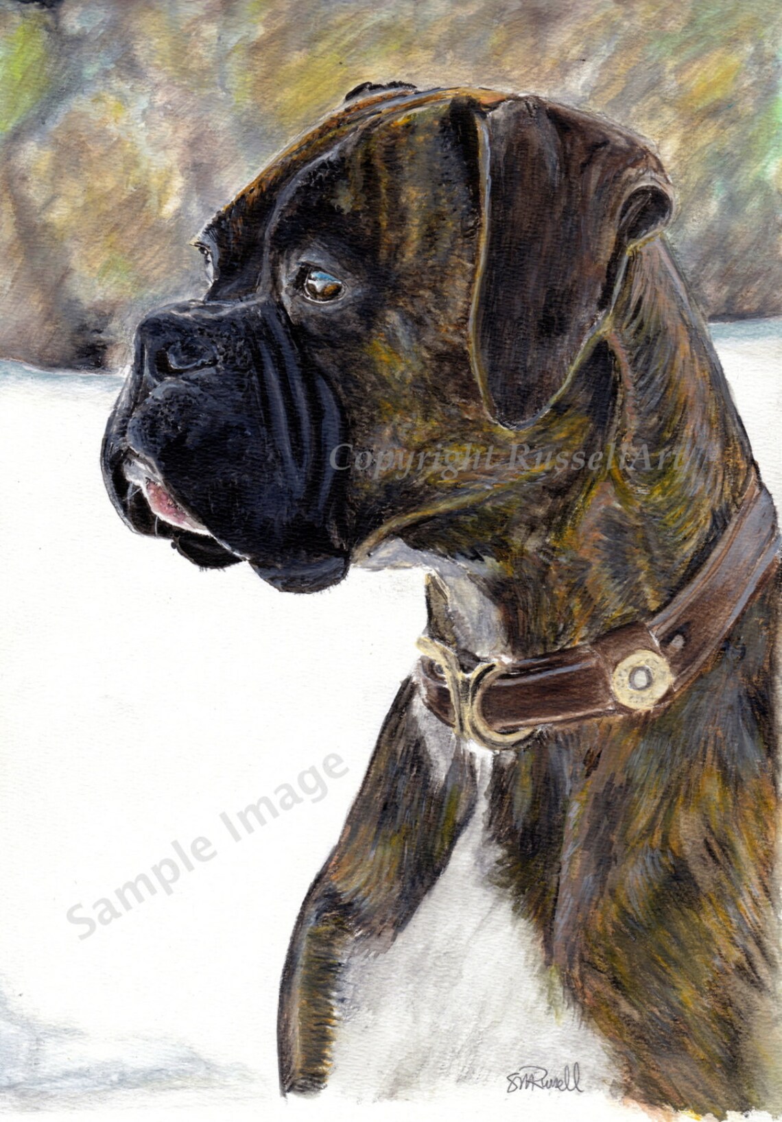 Boxer Boxer Dog A4 A3 or A2 Size Limited Edition Print of | Etsy