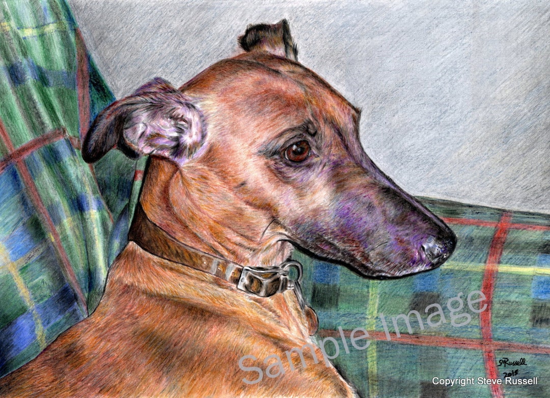 Sandy Whippet Dog A4 A3 or A2 Size Limited Edition Print Direct From ...