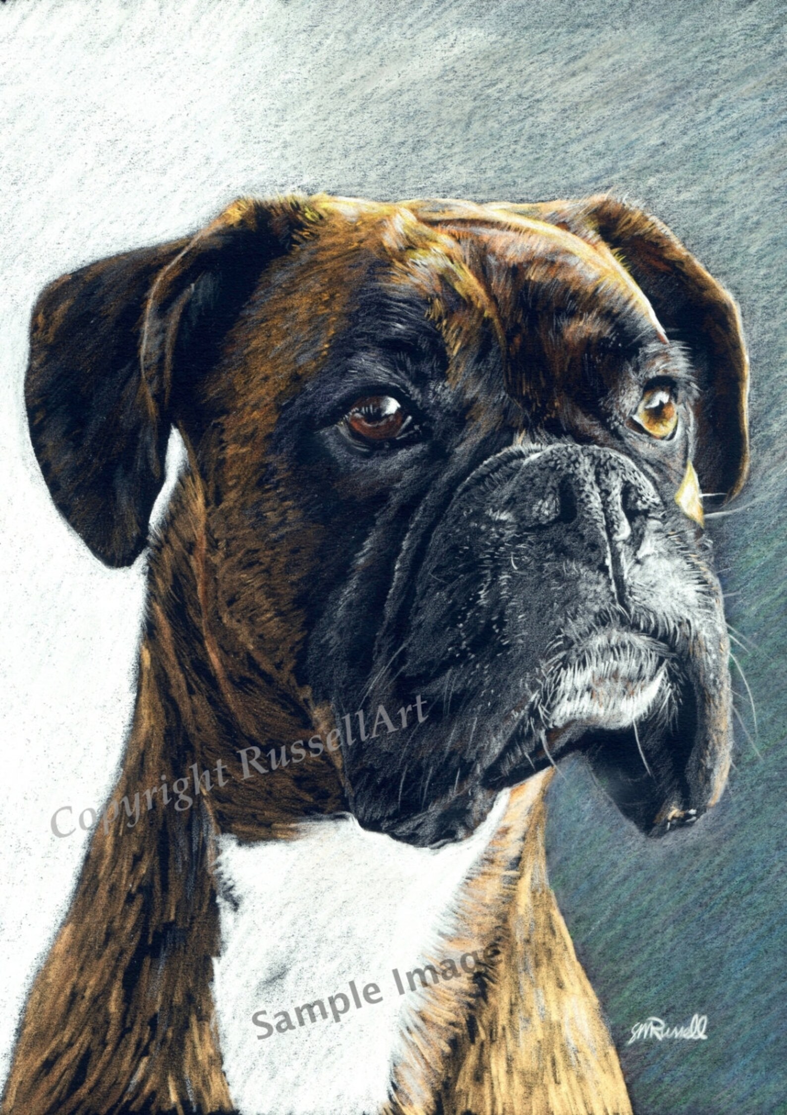 The Portrait Boxer Dog A4 A3 or A2 Size Limited Edition | Etsy