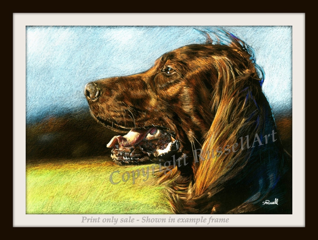 Irish Red Setter Dog LARGE A4 A3 or A2 Limited Edition Art Print of ...