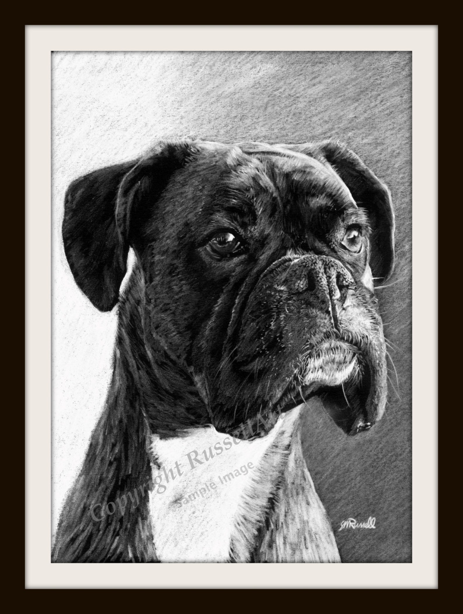 The Portrait B&W Boxer Dog LARGE A4 A3 or A2 Limited Edition - Etsy